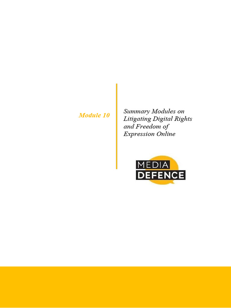Litigating Digital Rights in Africa | PDF | Amicus Curiae | Human Rights
