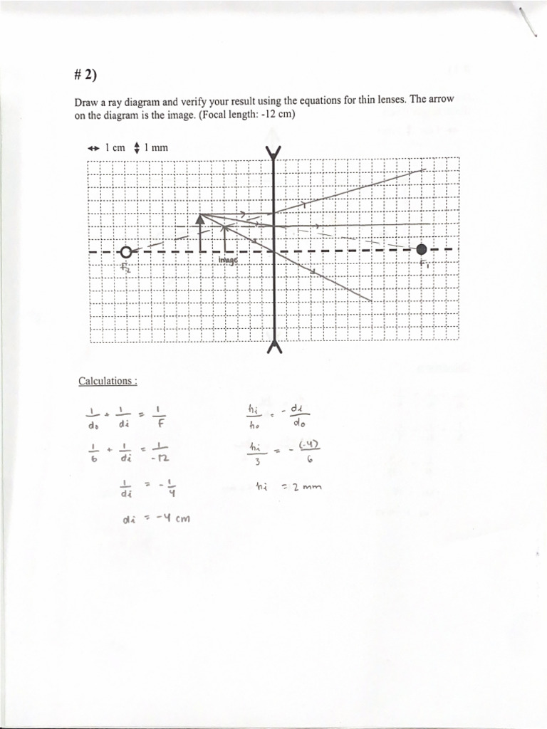 Shine Concent Form | PDF
