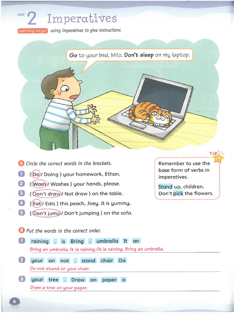 Oxford English Practice Series Grammar Wonderland 3A Teacher Edition ...