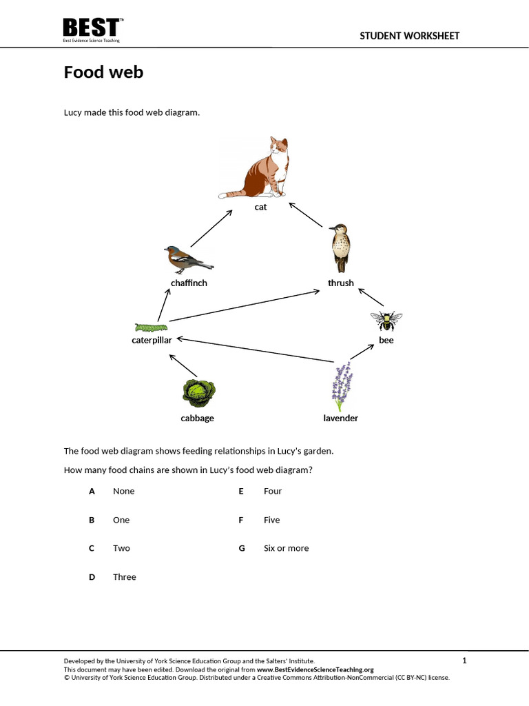 BEST - BOE - 1 - 1 - Diagnostic - Food Web | PDF | Food Web | Predation