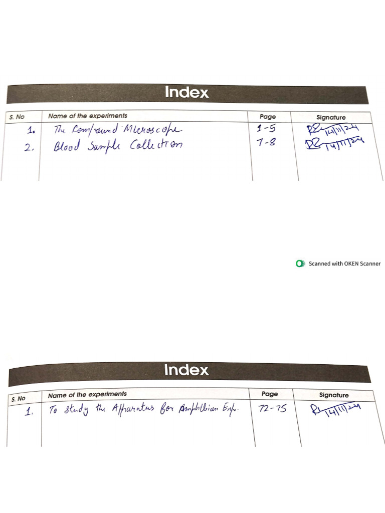 Sample Physio File | PDF