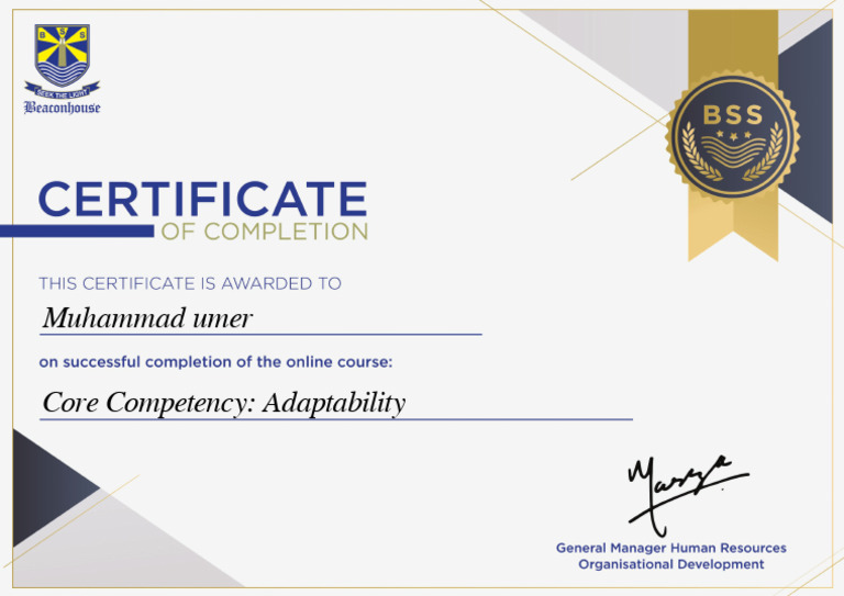 Training Completion Certificate | PDF