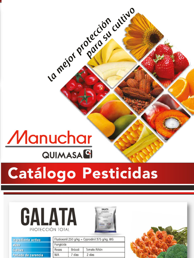 CTLG FRTLZ Nov 2021 Clrs CRV | PDF