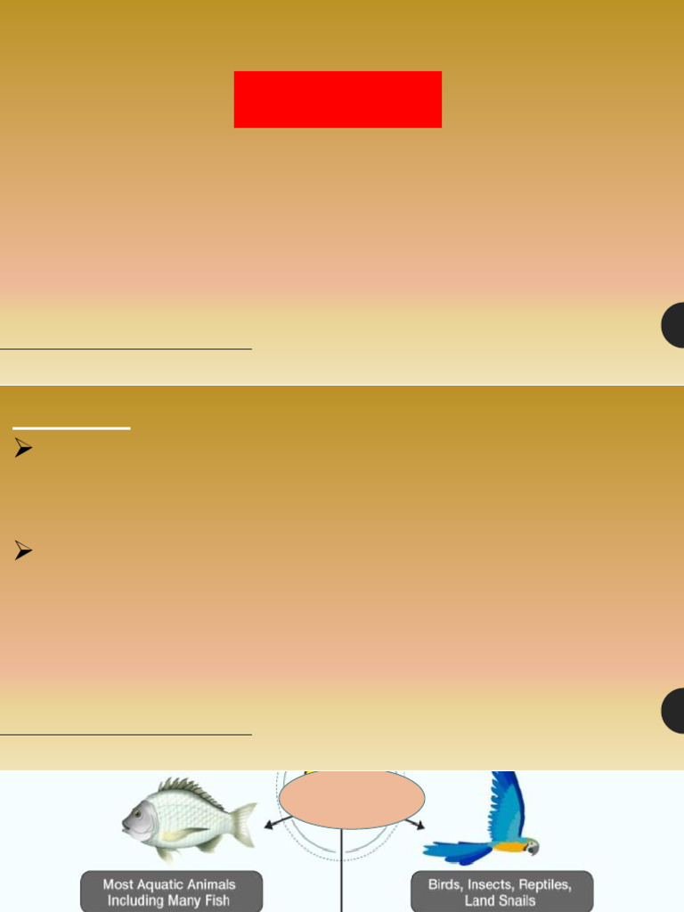 Excretion (Human Excretory System and in Plants) | PDF | Kidney ...