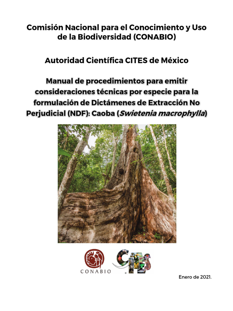 CONABIO NDF Caoba | PDF | México | Cita