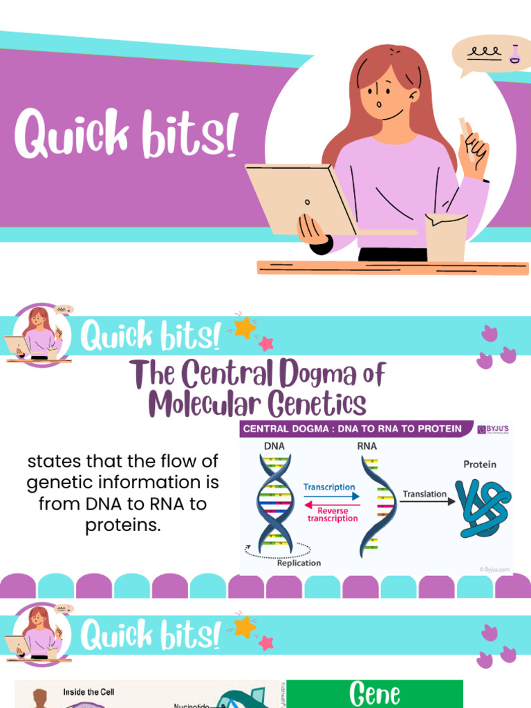 Lesson 11 DNA Replication | PDF | Dna | Gene