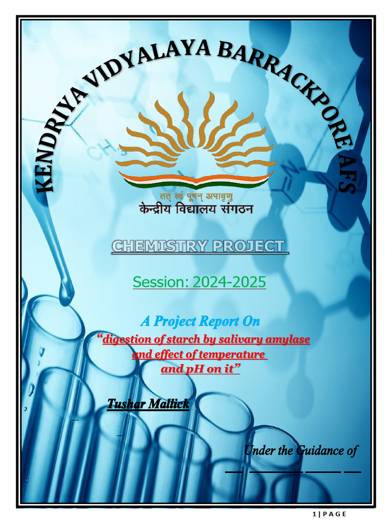 Chemistry-Project-Class-XII-2025 | PDF | Digestion | Chemistry