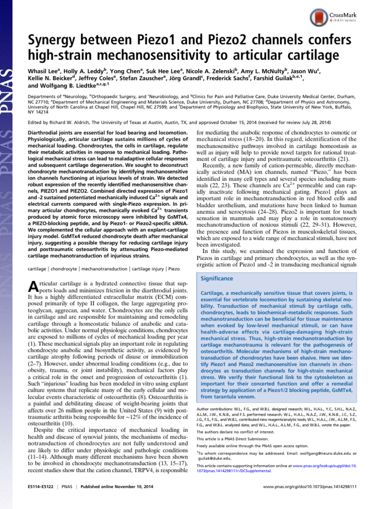 lee-et-al-2014-synergy-between-piezo1-and-piezo2-channels-confers-high ...