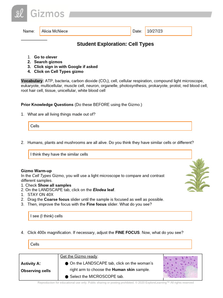 Alicia McNiece-Vides - Cell Types Gizmo | PDF | Cell (Biology) | Microscope