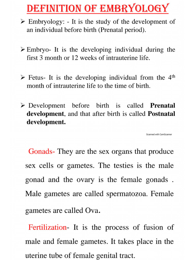 Embryology Notes Modern-1 | PDF