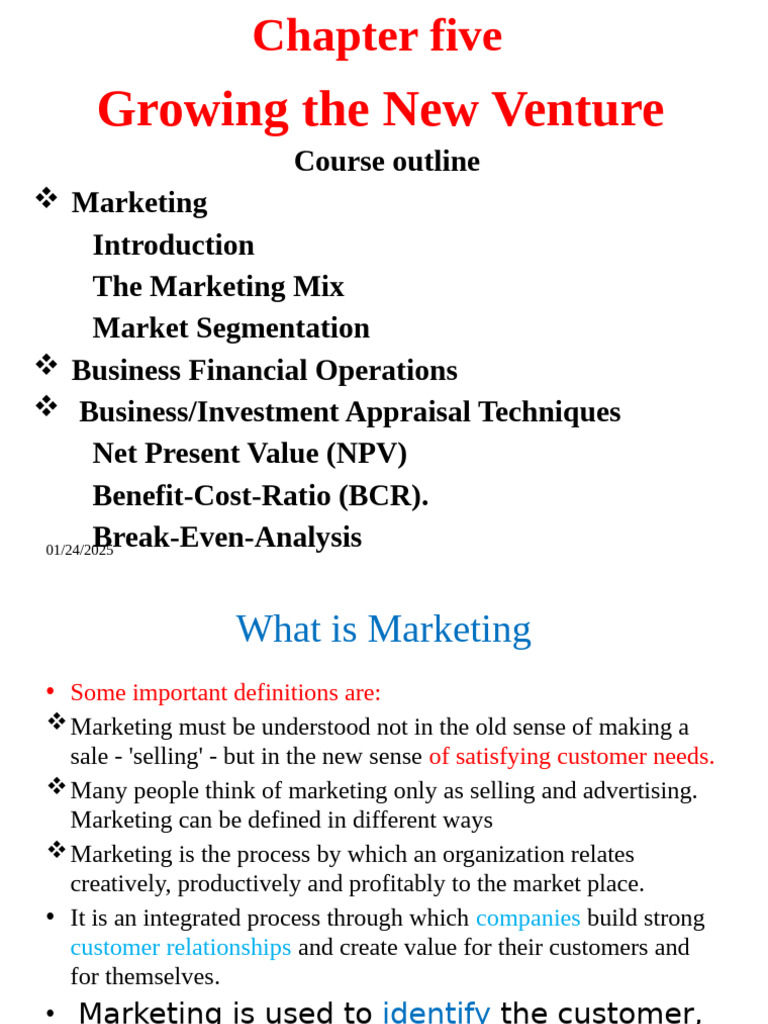 Marketing Strategies for New Ventures | PDF | Marketing | Capital Budgeting