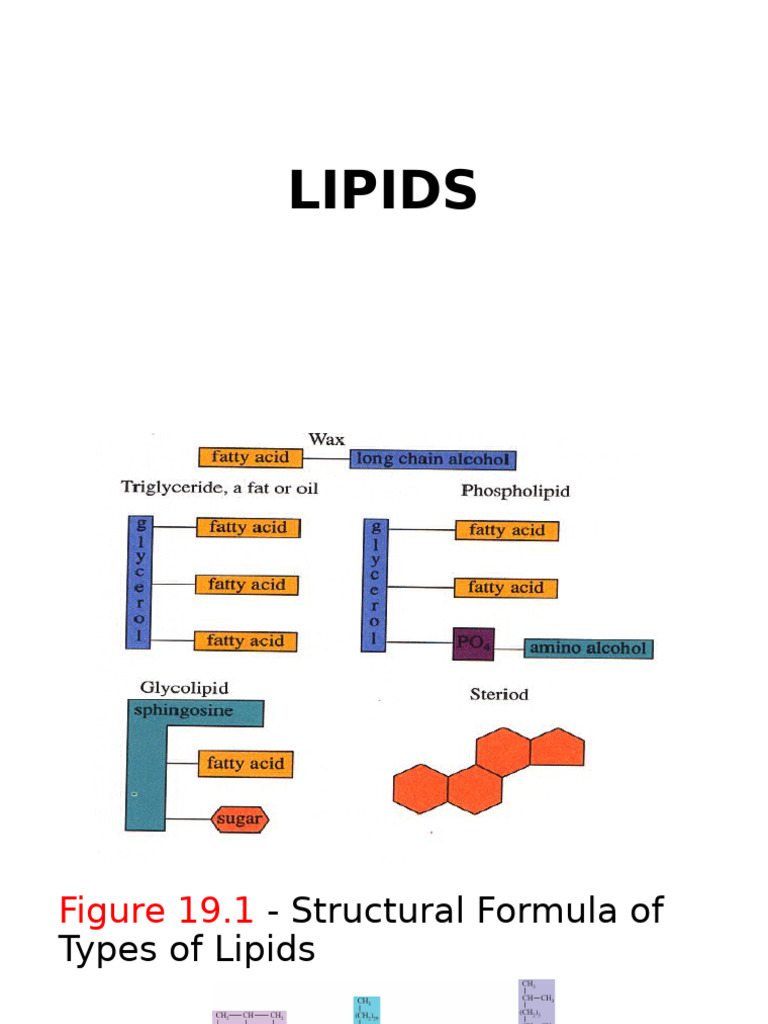 Physical and Chemical Properties of Lipids | PDF | Lipid | Fatty Acid