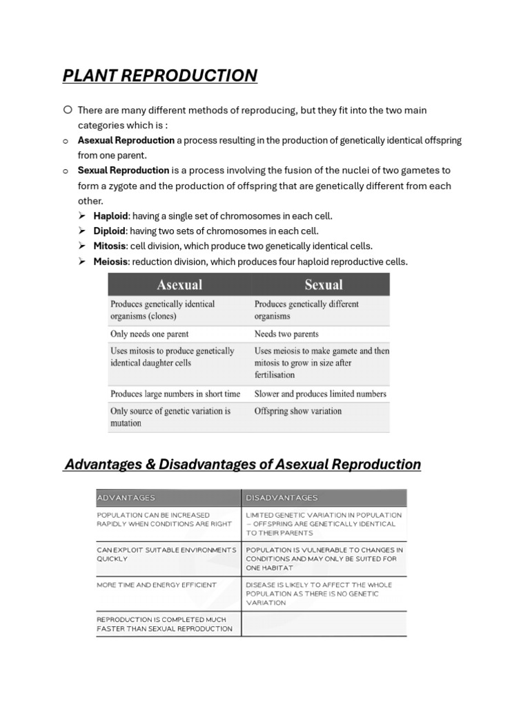 Plant Reproduction | PDF | Sexual Reproduction | Flowers