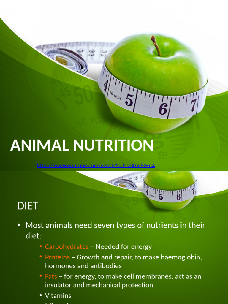 Essential Nutrients and Digestion Guide | PDF | Digestion | Food Energy