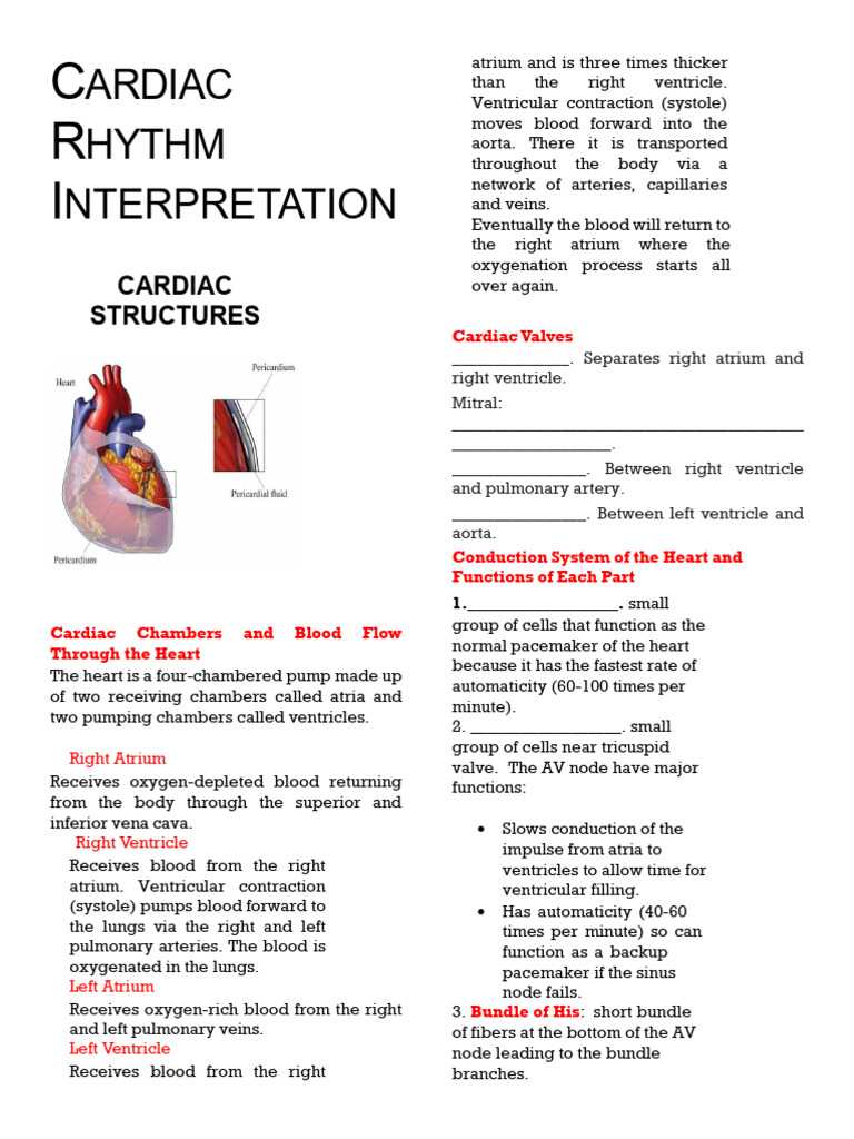 ECG READING Lecture Handout | PDF | Heart | Atrium (Heart)