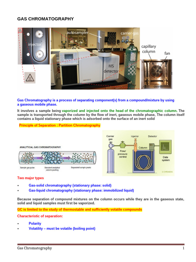 Gas Chromatography: Principles & Techniques | PDF | Gas Chromatography ...