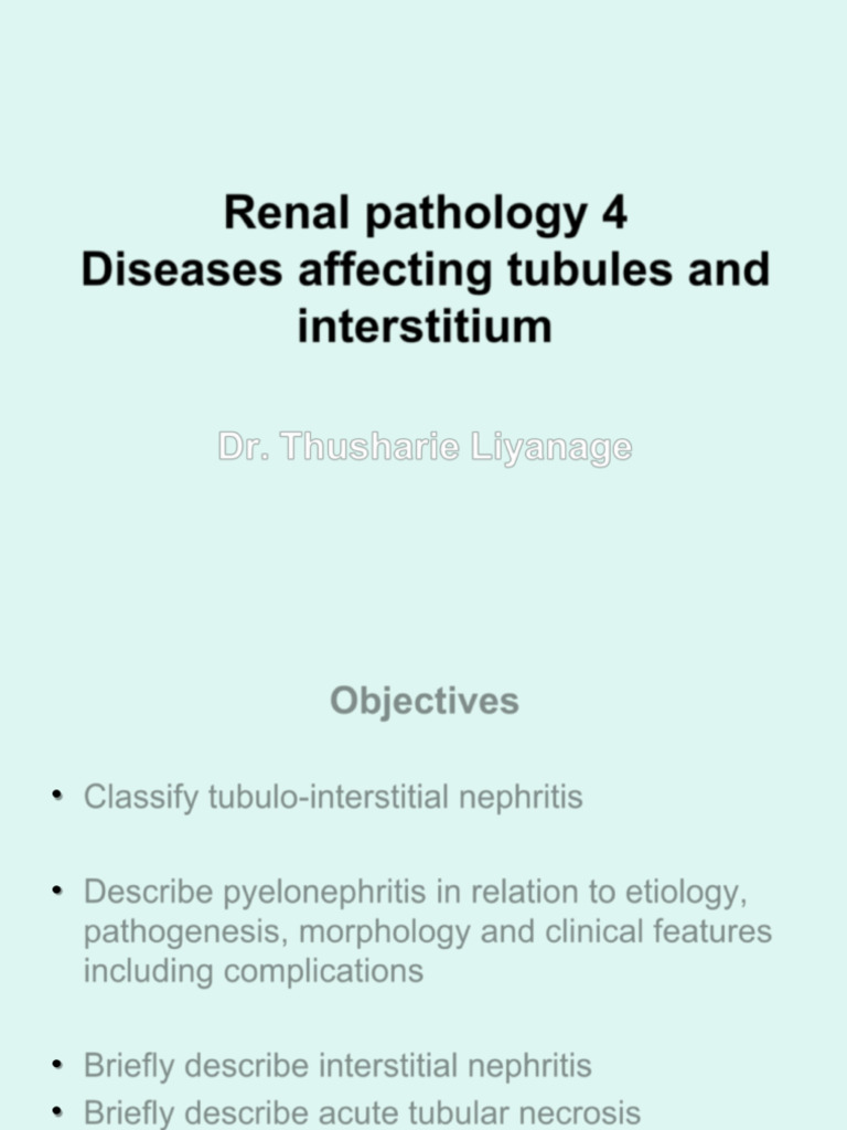RE5-Tubulo-interstitial Nephritis 1 | PDF | Urinary Tract Infection ...