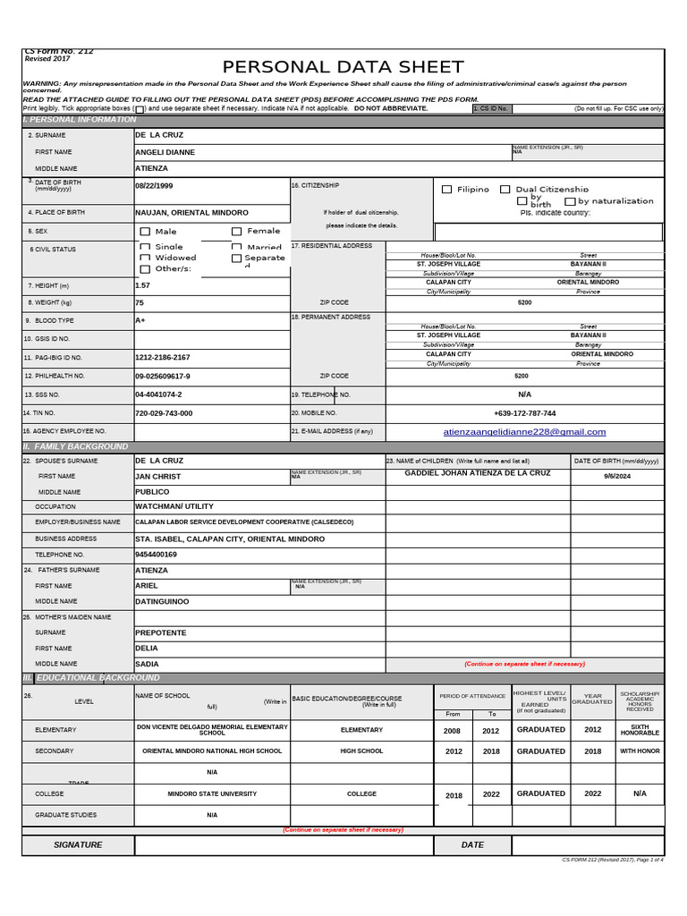 Personal Data Sheet Template | PDF | Justice | Crime & Violence