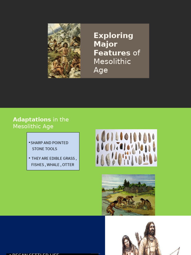 Key Features of the Mesolithic Age | PDF