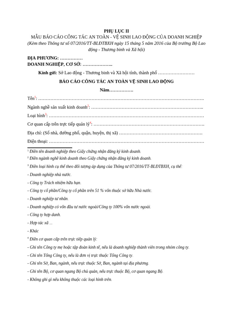 Mau-bao-cao-phu-luc-II | PDF