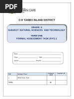 GR 4 NST Project | PDF | String Instruments | Musical Instruments