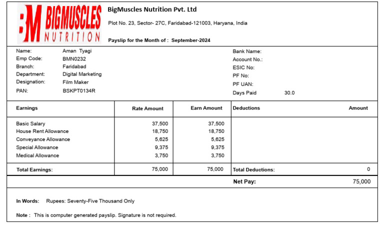 PaySlip 2 | PDF