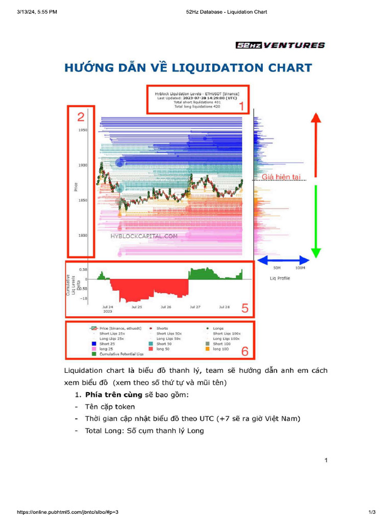 Hướng dẫn đọc liquidation map | PDF