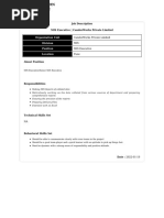 MIS Executive Job Responsibilities Overview | PDF
