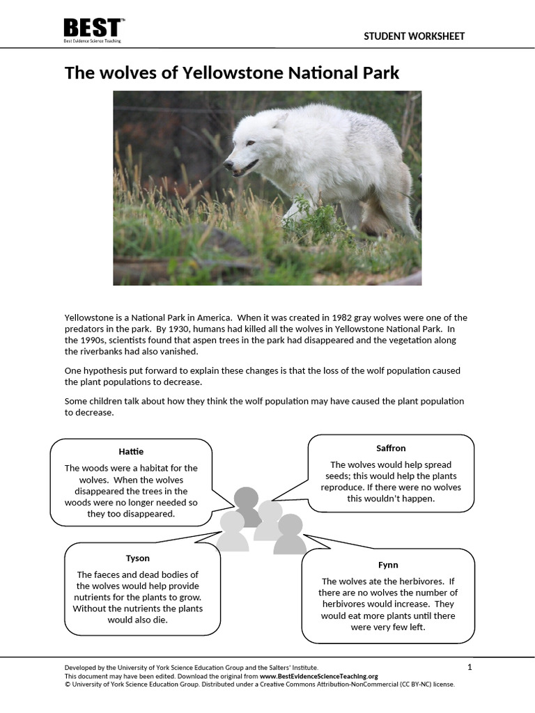BEST - BOE - 2 - 1 - Response - The Wolves of Yellowstone National Park ...
