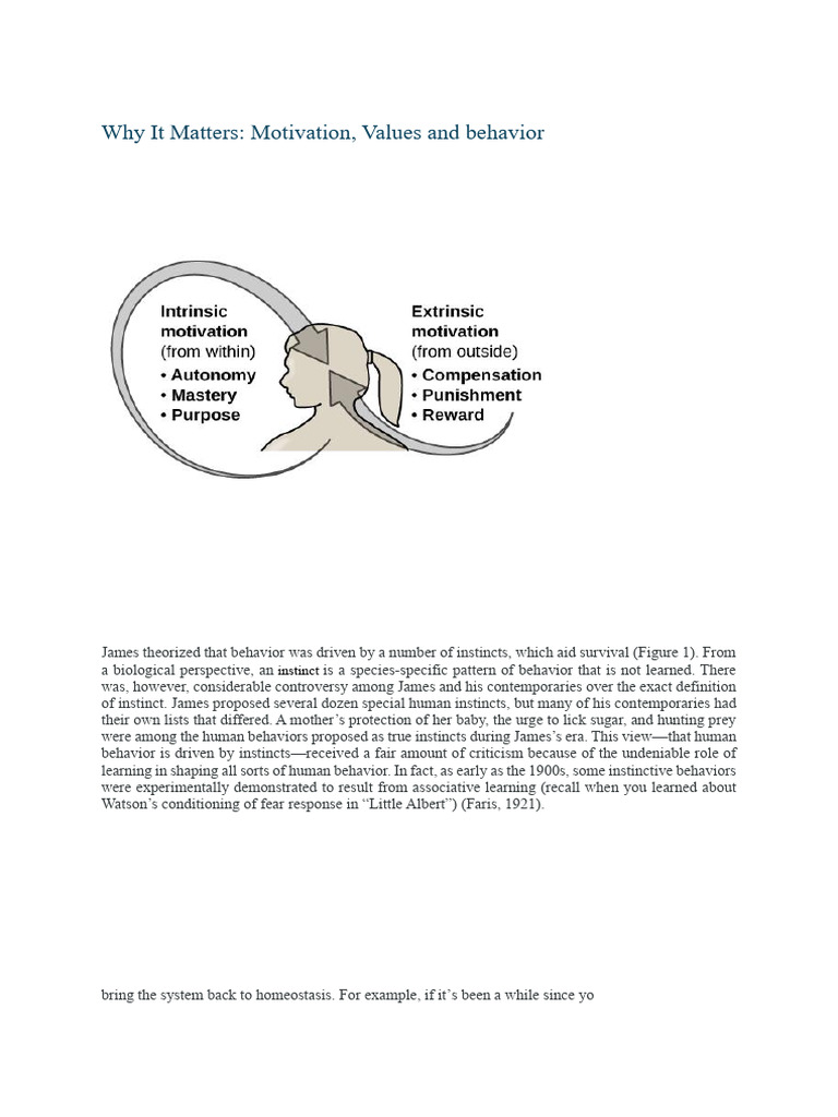 5 Motivations, Values and Behavior | PDF | Self Actualization | Motivation