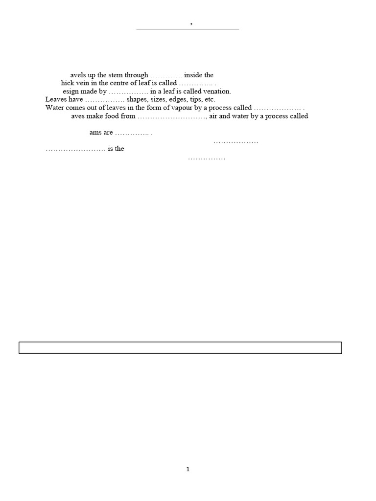 Class 6, Science, Worksheet, Getting To Know Plants | PDF | Leaf | Plants