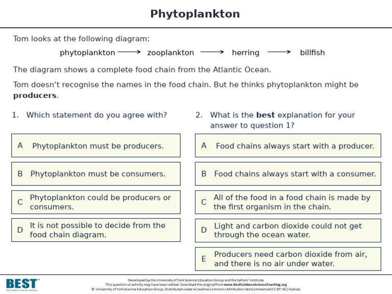 BEST BOE 1 2 Diagnostic Phytoplankton | PDF