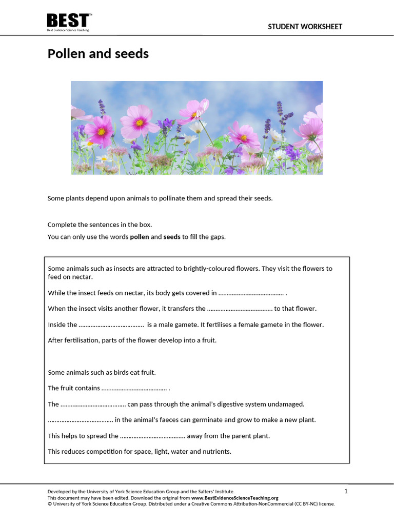 BEST - BOE - 1 - 2 - Diagnostic - Pollen and Seeds | PDF | Flowers ...