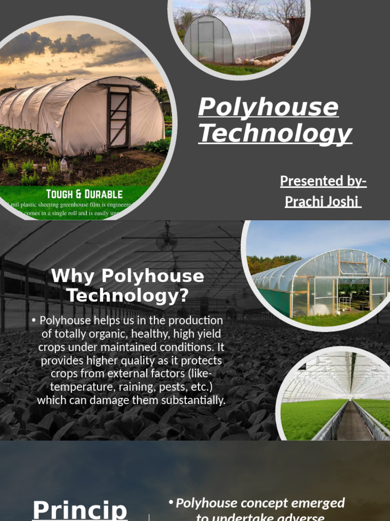 Polyhouse Technology | PDF | Carbon Dioxide | Photosynthesis