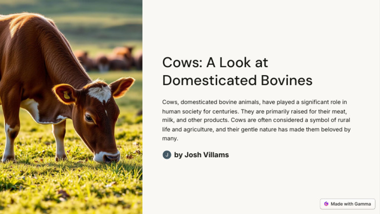 Cows A Look at Domesticated Bovines | PDF