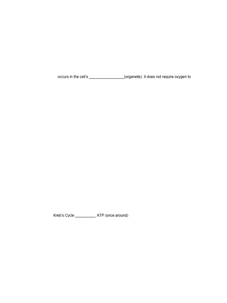 Cellular Respiration Worksheet and Graph-1 | PDF | Cellular Respiration ...