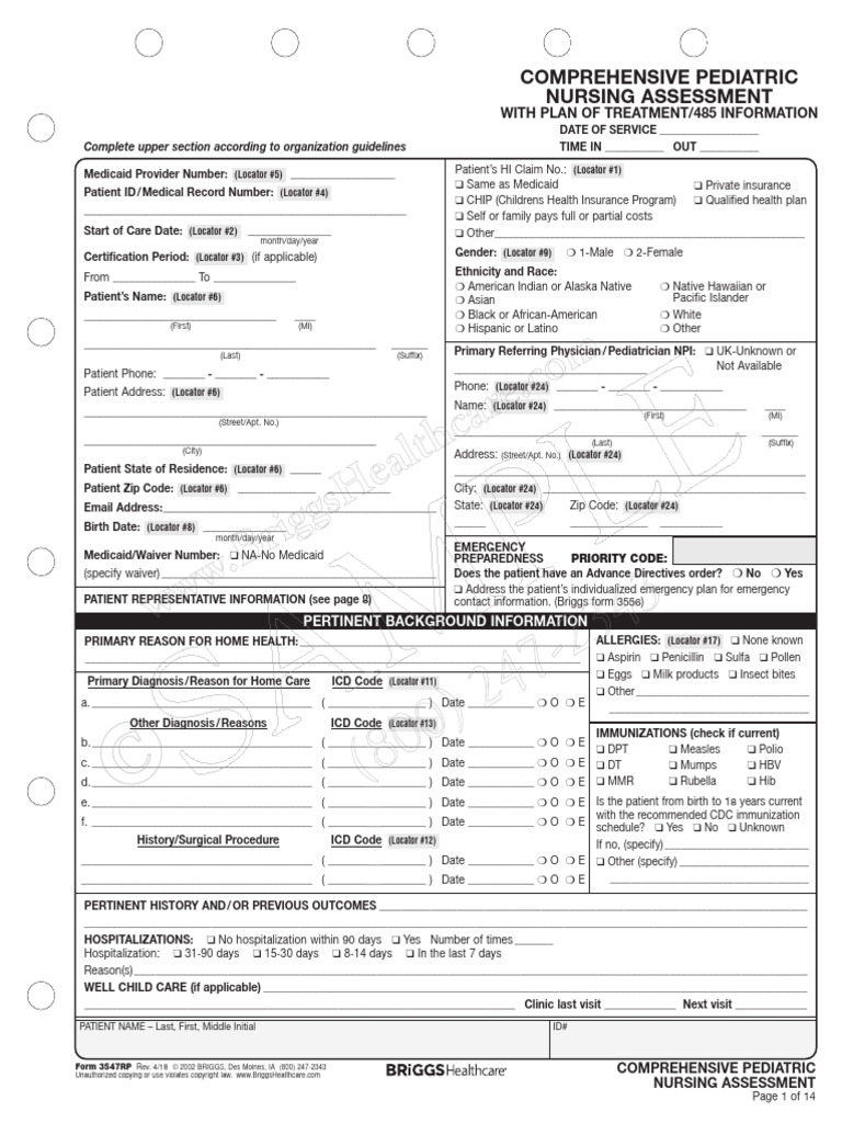 12 Page Comprehensive Paeds Assement Form | PDF | Race And Ethnicity In ...
