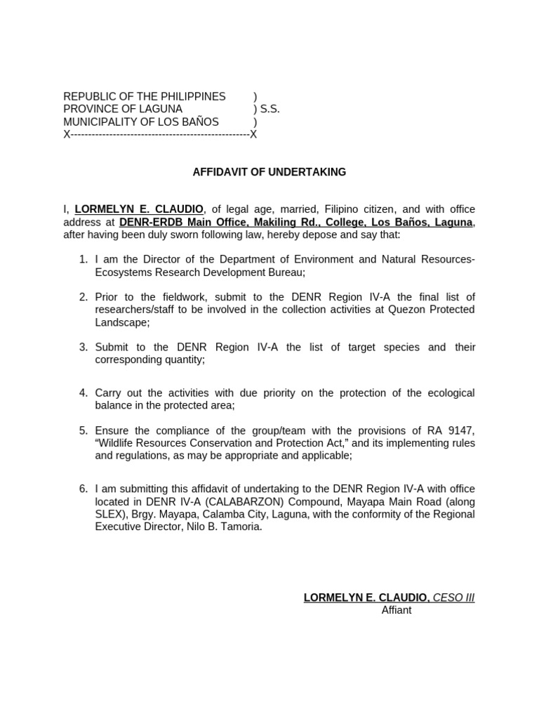 2025 Affidavit of Undertaking | PDF | Affidavit | Civil Law (Common Law)