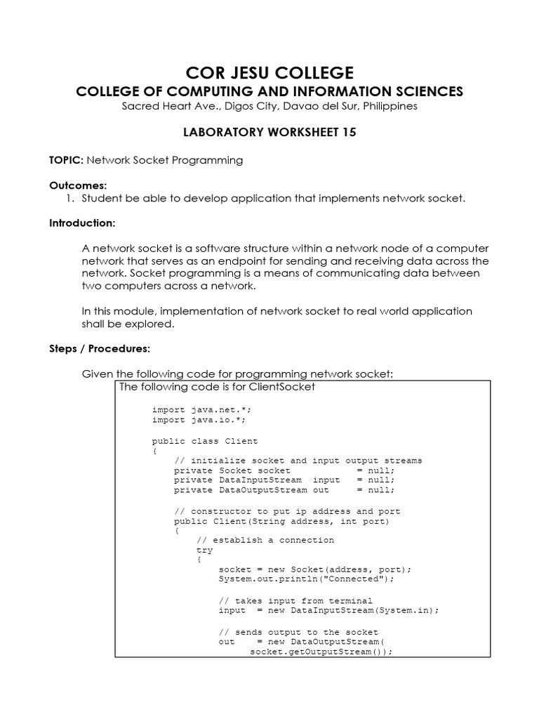 LW 15 - Network Socket Programming | PDF | Network Socket | Computer Network