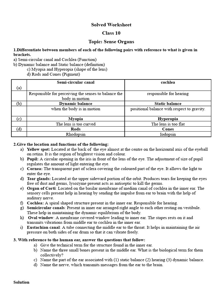 1729508364349_Solved_Worksheet_The_Sense_organs | PDF | Ear | Vision 1729508364349_Solved_Worksheet_The_Sense_organs | PDF | Ear | Vision