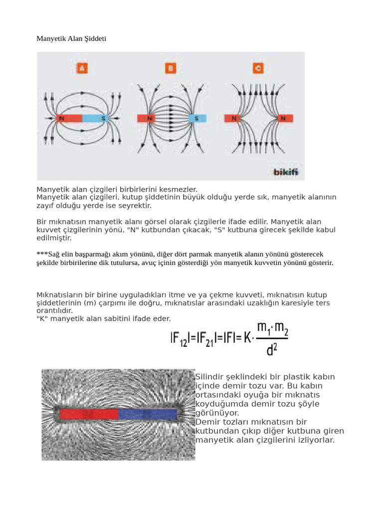Manyetik Alan Şiddeti | PDF