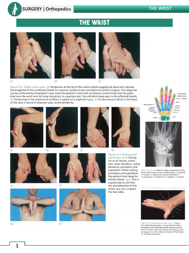 Wrist Surgery: Deformities & Treatments | PDF | Hand | Joints
