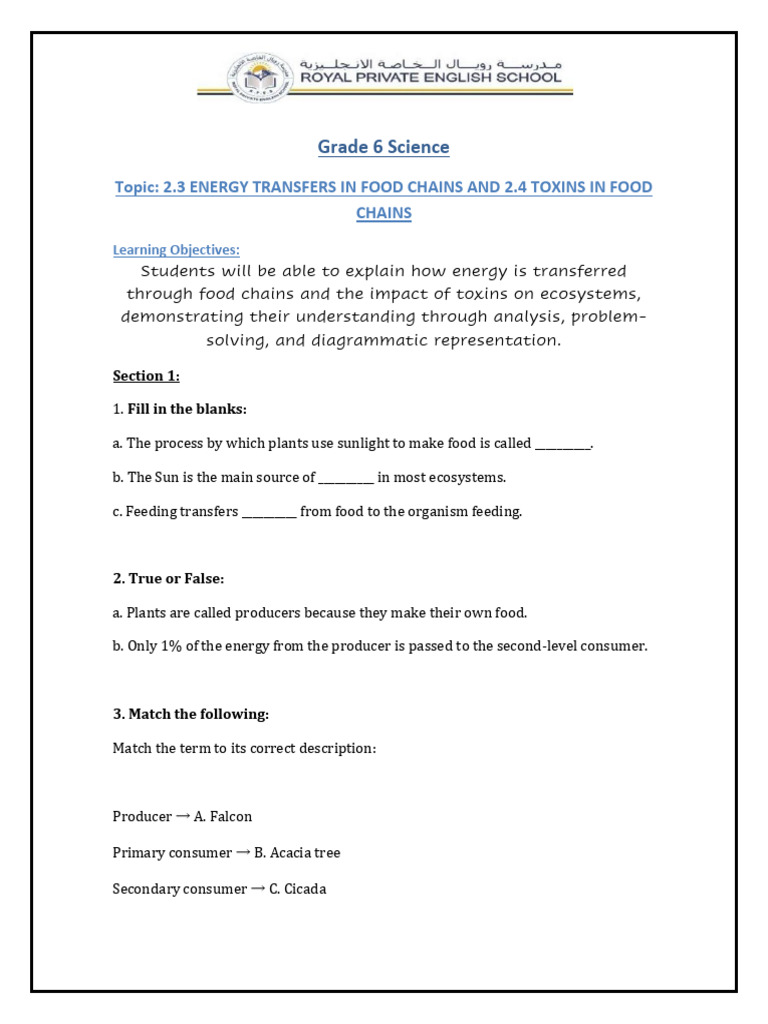 Grade6 Science Worksheet-Topic-2.3 and 2.4 | PDF | Foods | Ecology