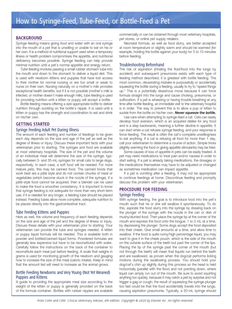 How To Syringe-Feed Tube-Feed or Bottle-Feed A Pet | PDF ...