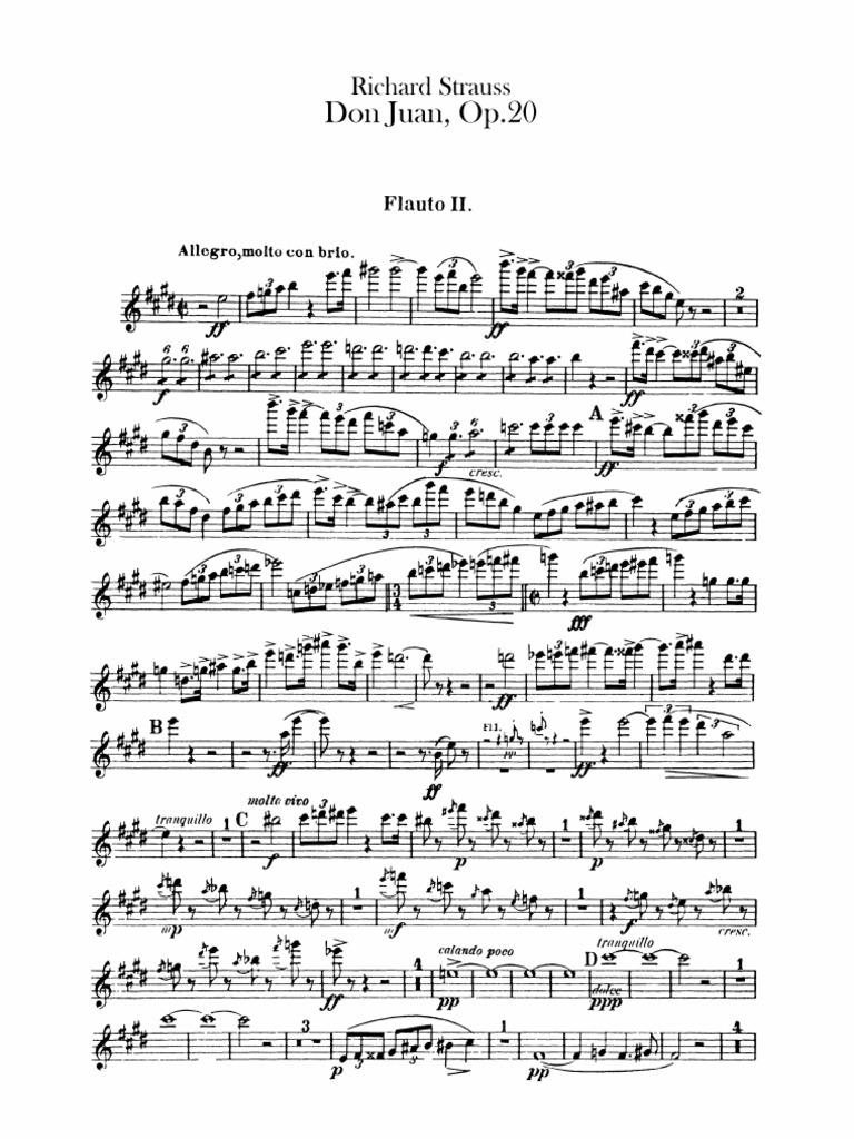 Strauss Don Juan Flute 2 | PDF