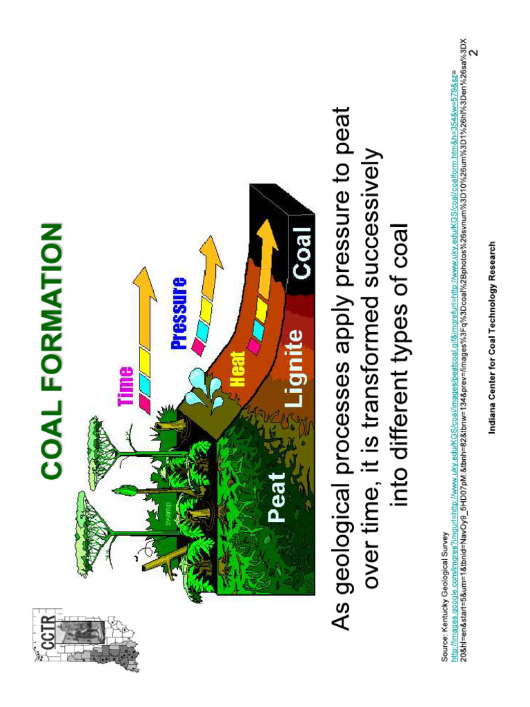 Coal Formation | PDF