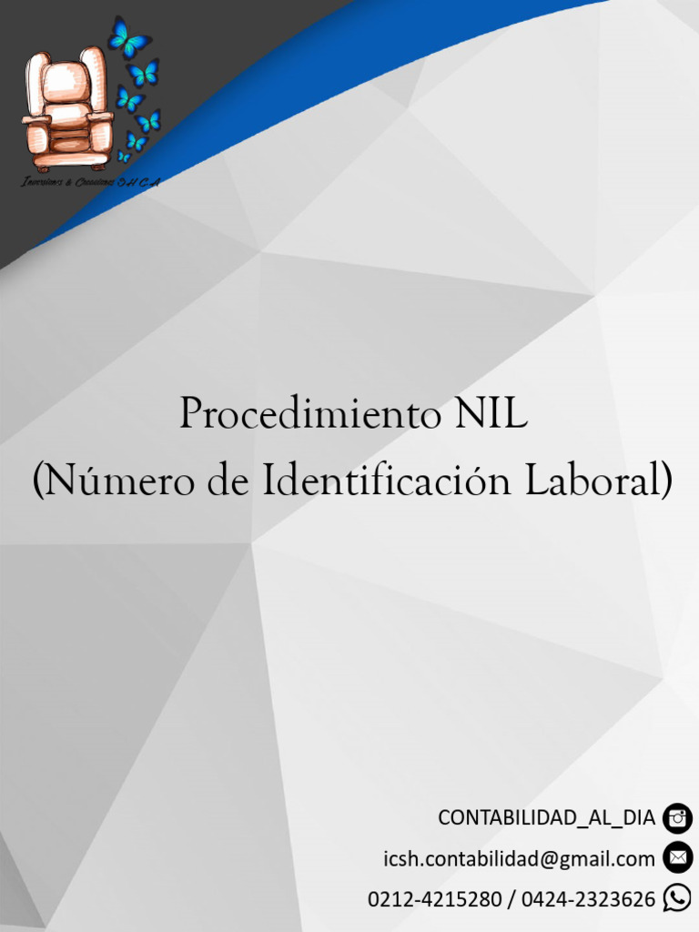 Guía para Acceso al Portal NIL | PDF | ciberespacio