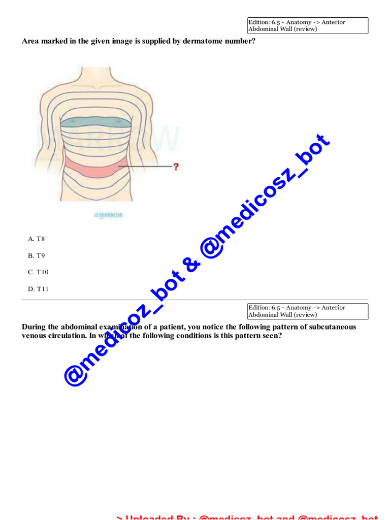 Anatomy - Anterior Abdominal Wall (Review) | PDF