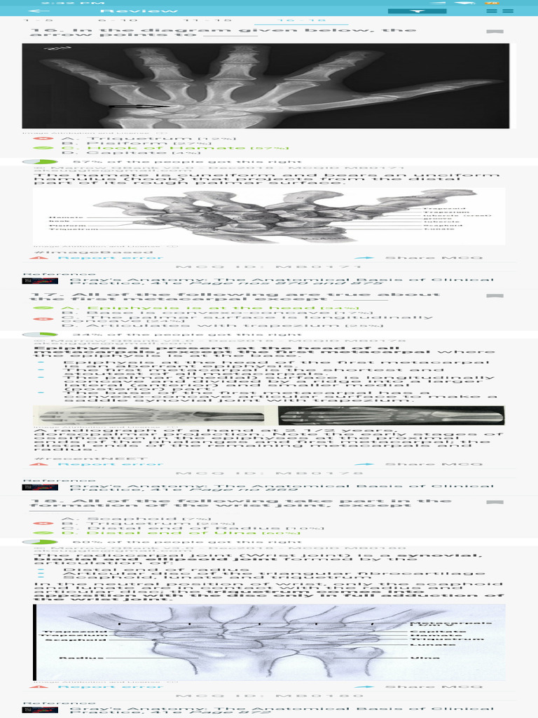 Anatomy Marrow Qbank - 177 | PDF