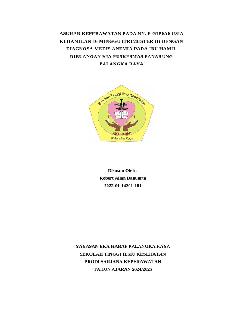 Asuhan Keperawatan Anemia Ibu Hamil 16 Minggu | PDF